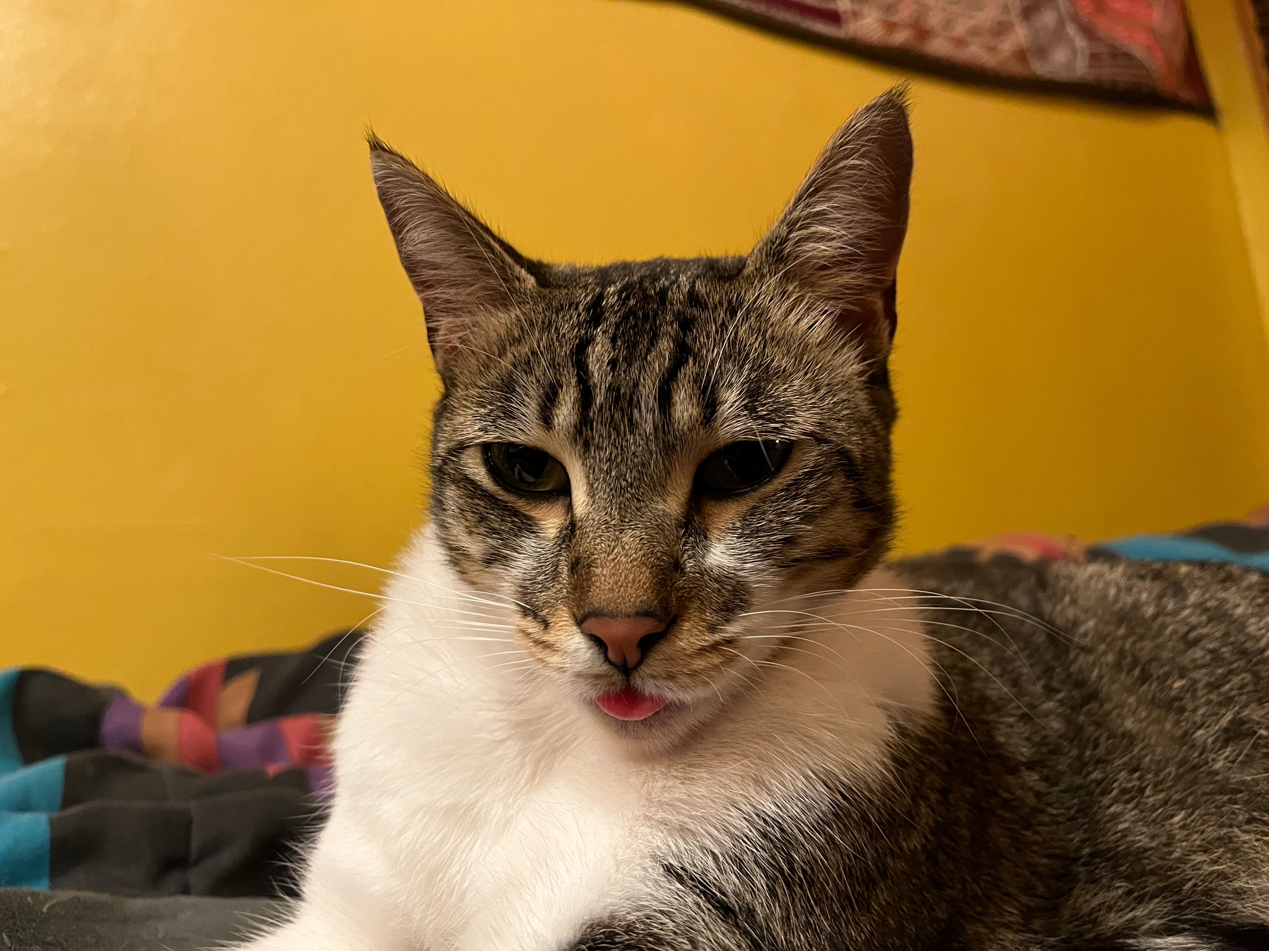 Featured Items – The Spooky Haus